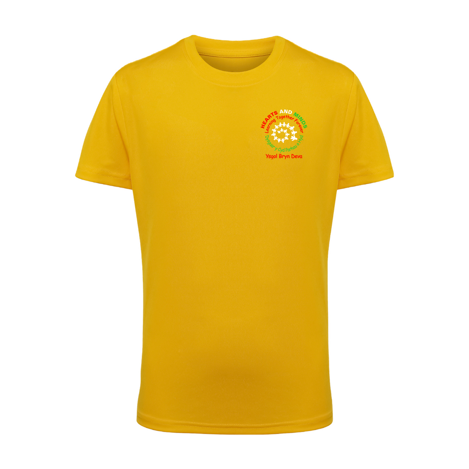 Ysgol Bryn Deva – Queensferry Sports